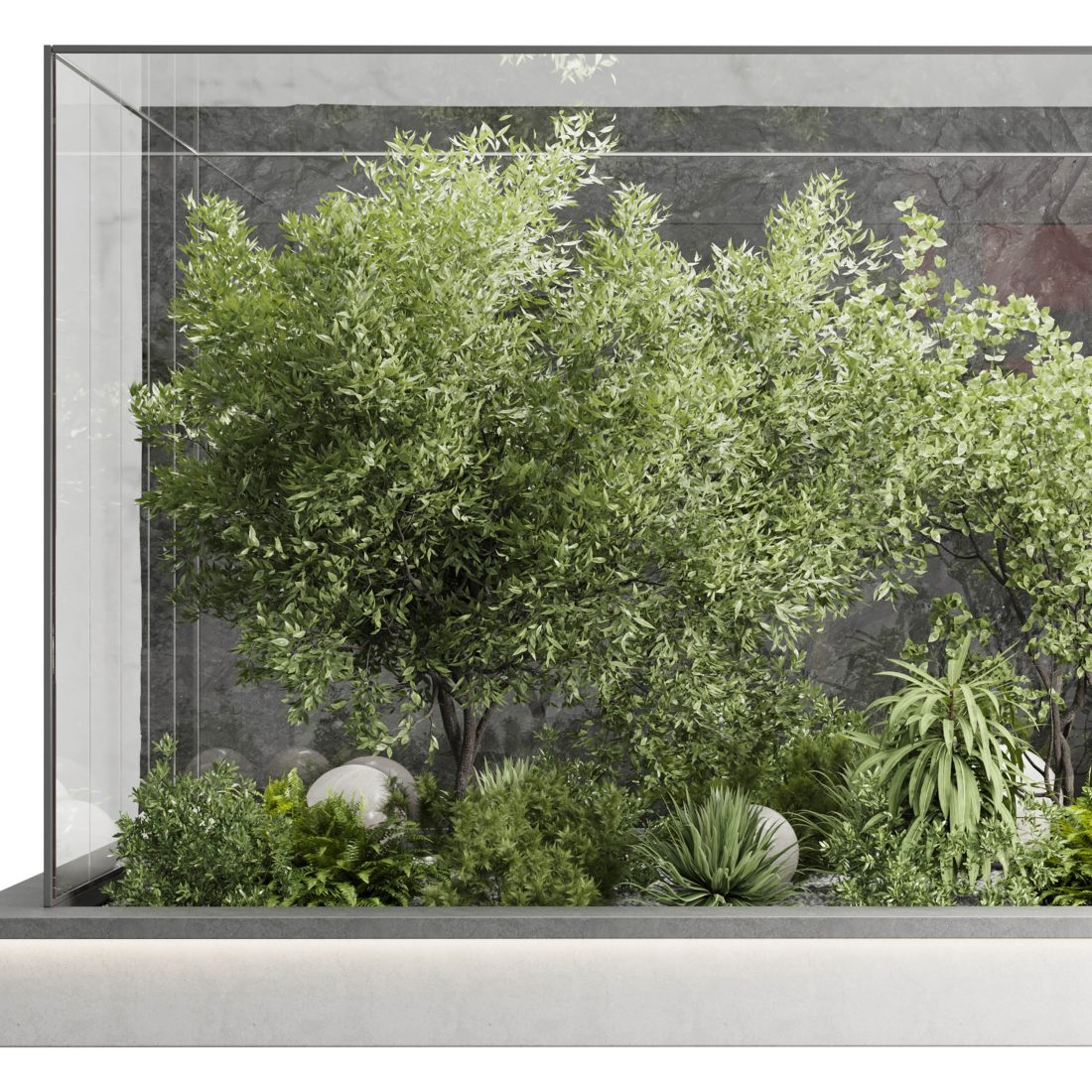 Plants Behind Galss 04 - Indoor Garden Set 400 - 3D Model for Corona