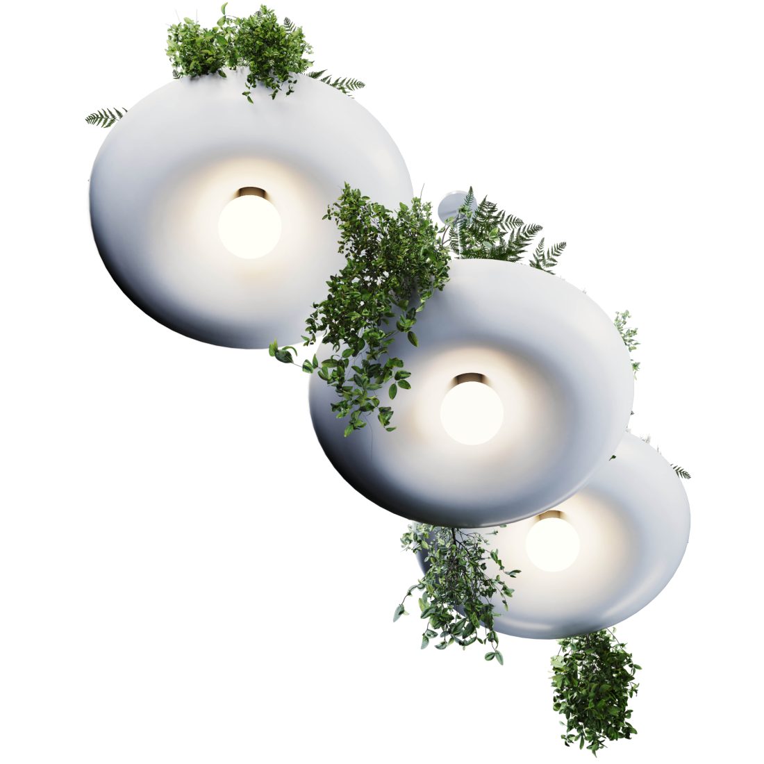 Indoor Hanging Plant 3D Model for VRay, Corona | CGMood