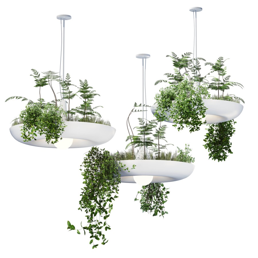Indoor Hanging Plant - 3D Model for VRay, Corona