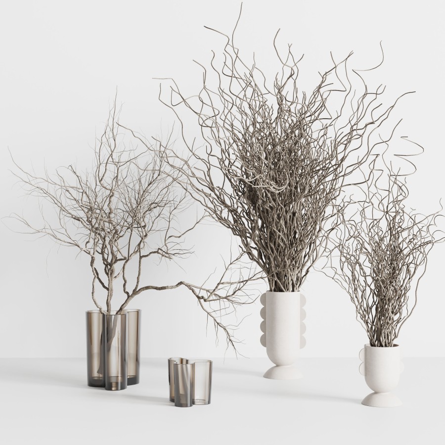 Dried Branches With Concrete And Glass Vase - Bouq - 3D Model for VRay ...