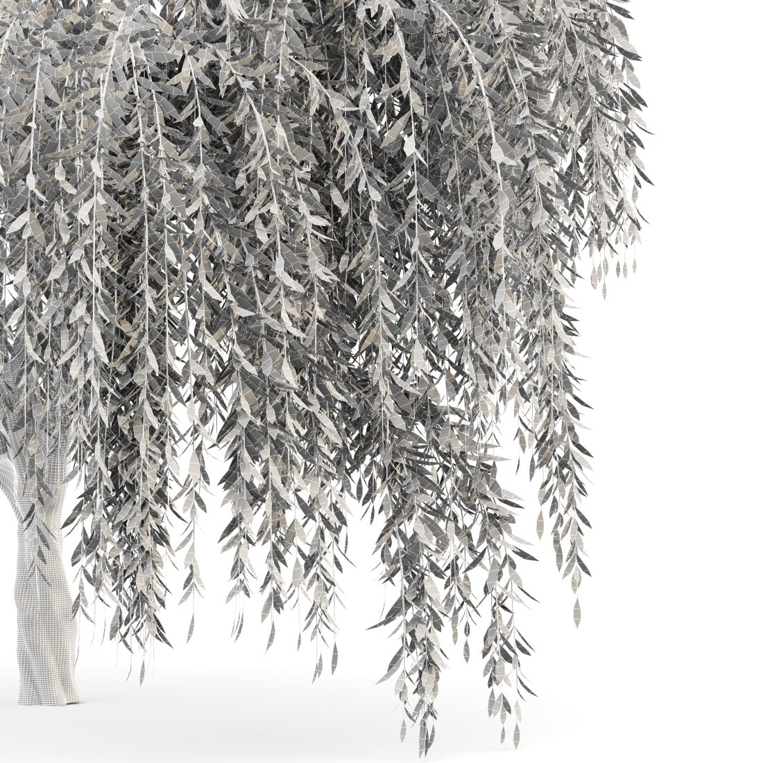 Angel Oak Live Tree Spanish Moss Weeping Willow - 3D Model for VRay, Corona