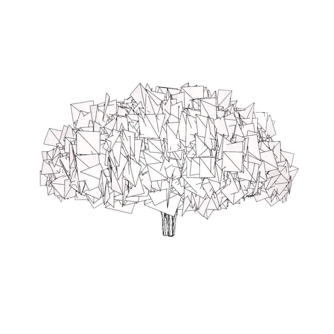 Mature Hazelnut Tree - 3D Model for VRay, Corona