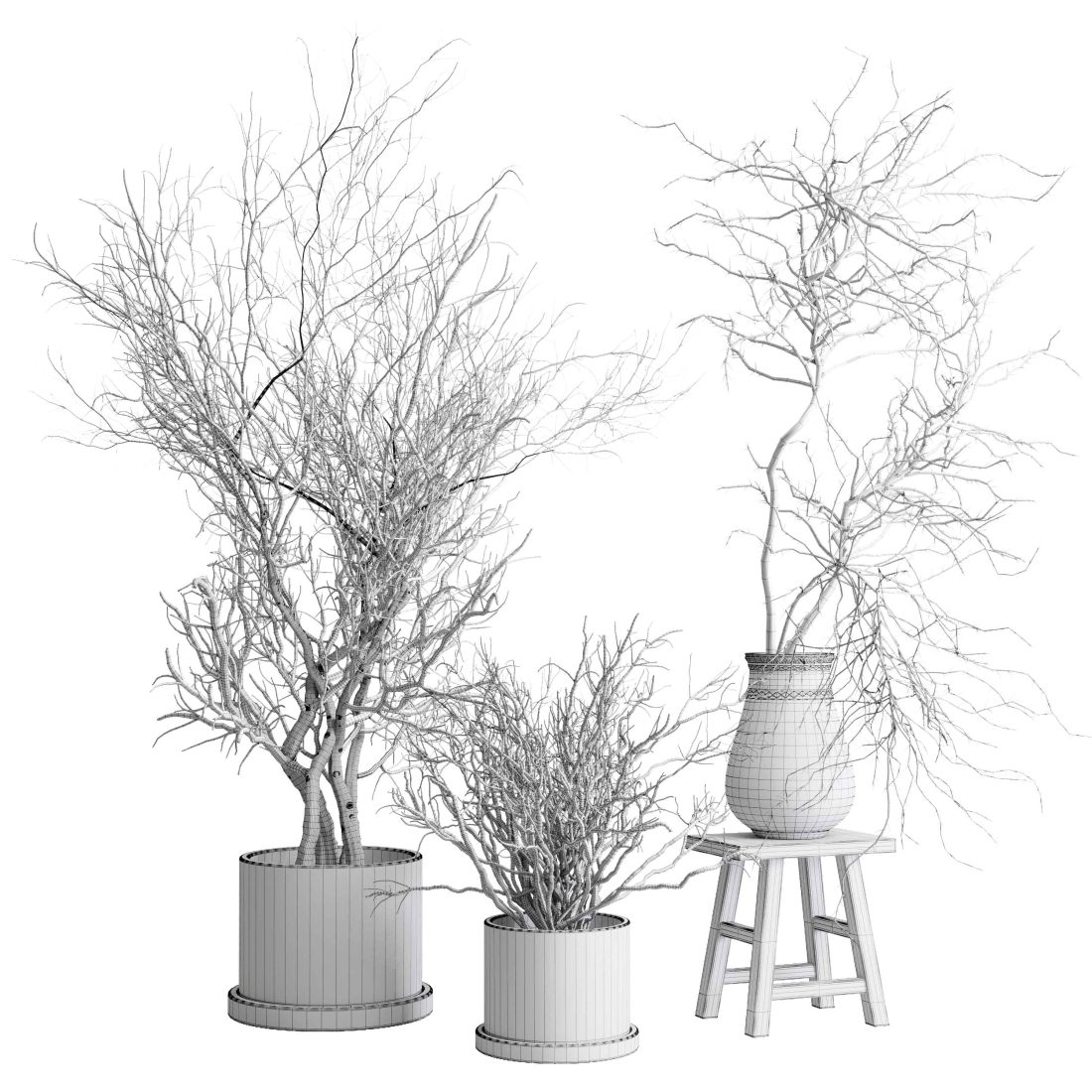 Dried Trees And Shrubs In Glass Vases - Indoor Pla 3D Model for VRay ...