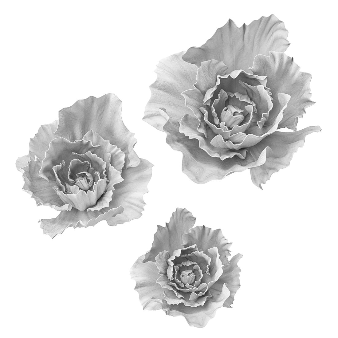 Gypsum Flower 3D Model for VRay, Corona | CGMood