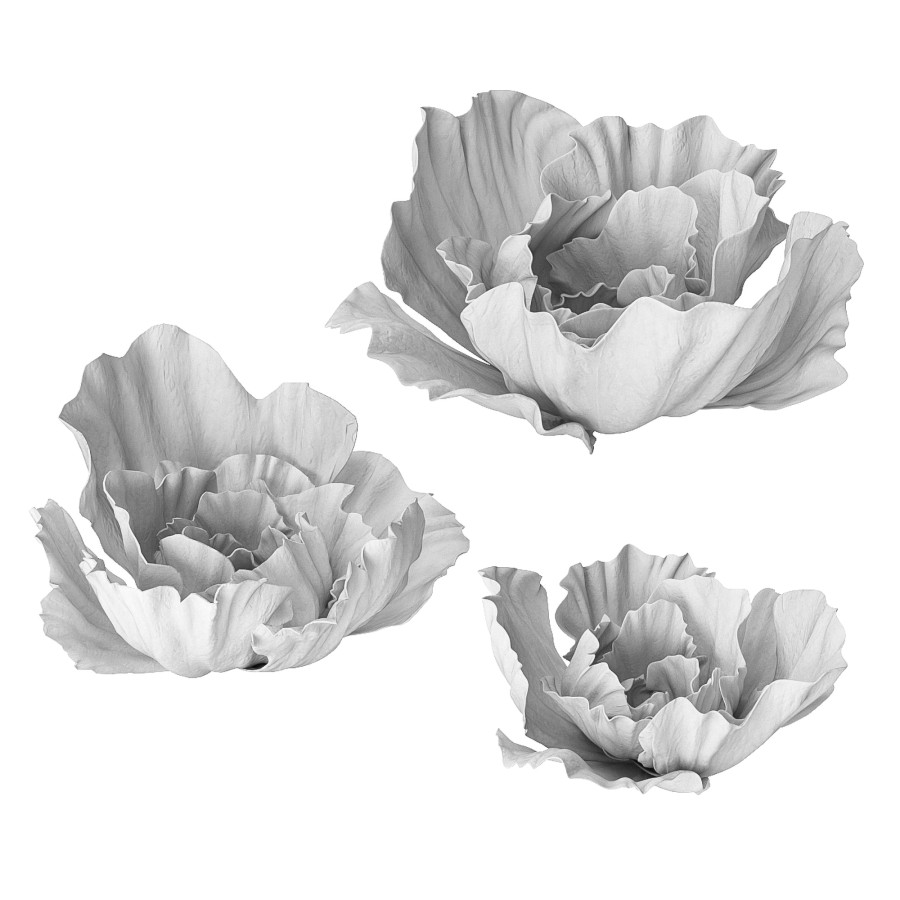Gypsum Flower 3D Model for VRay, Corona | CGMood