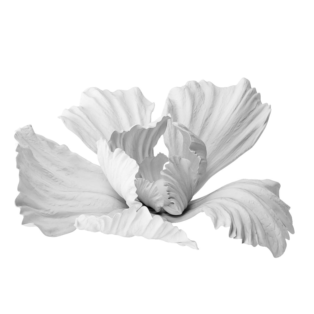 Gypsum Flower - 3D Model for VRay, Corona