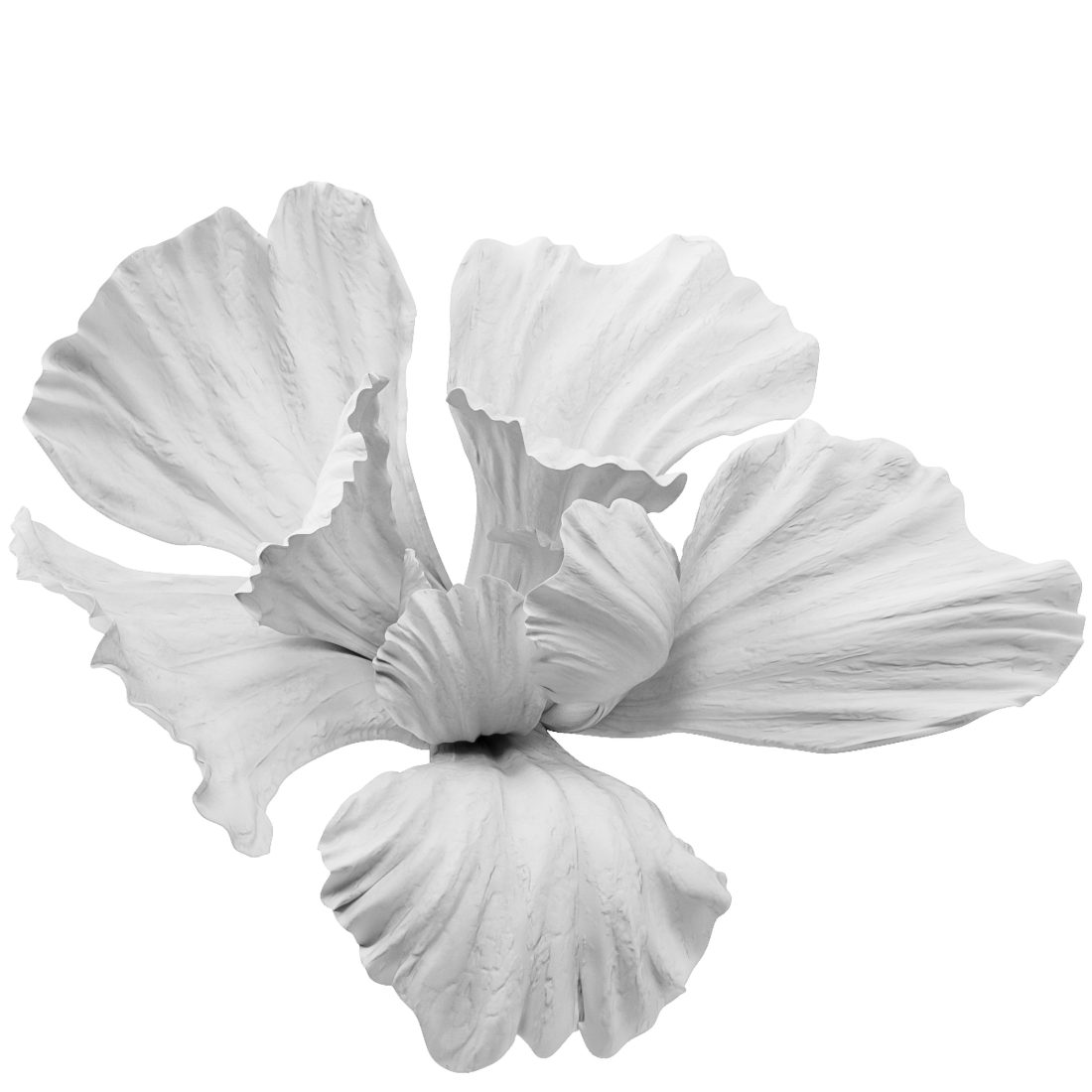 Gypsum Flower - 3D Model for VRay, Corona