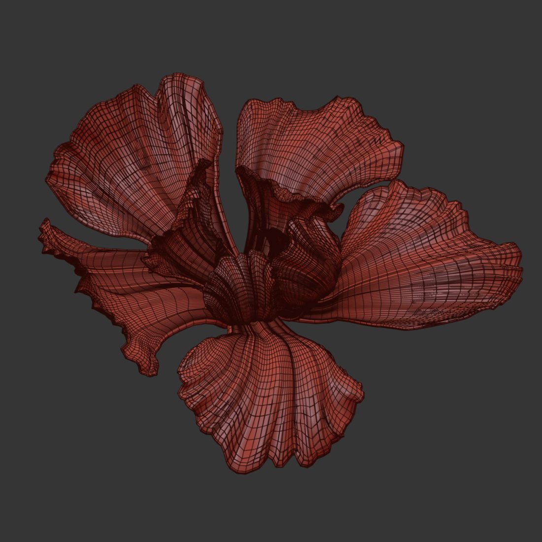 Gypsum Flower - 3D Model for VRay, Corona