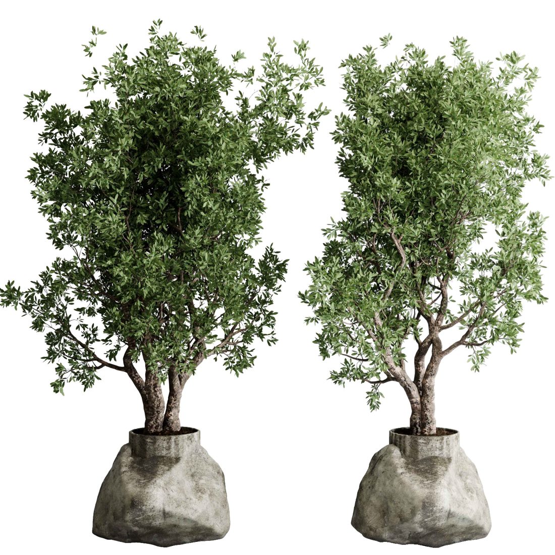 Tree In Old Vase - Outdoor Plants 203 - 3D Model for VRay, Corona