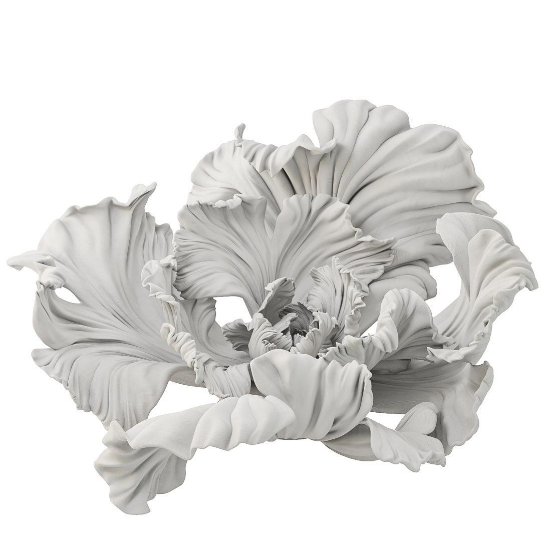 Gypsum Flower 3D Model for VRay, Corona | CGMood