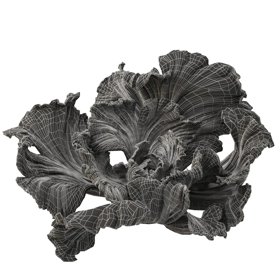 Gypsum Flower 3D Model for VRay, Corona | CGMood