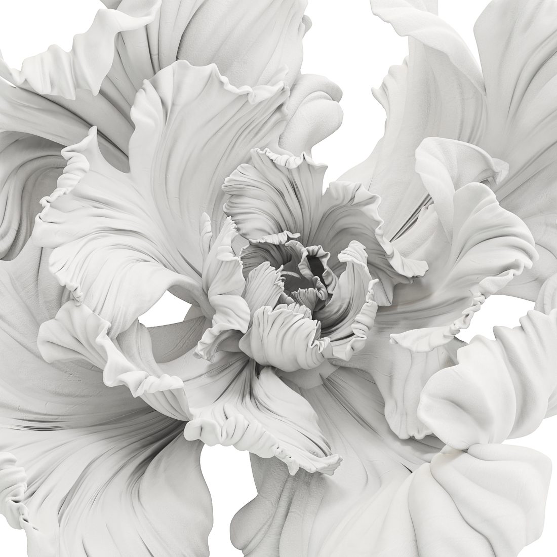 Gypsum Flower 3D Model for VRay, Corona | CGMood