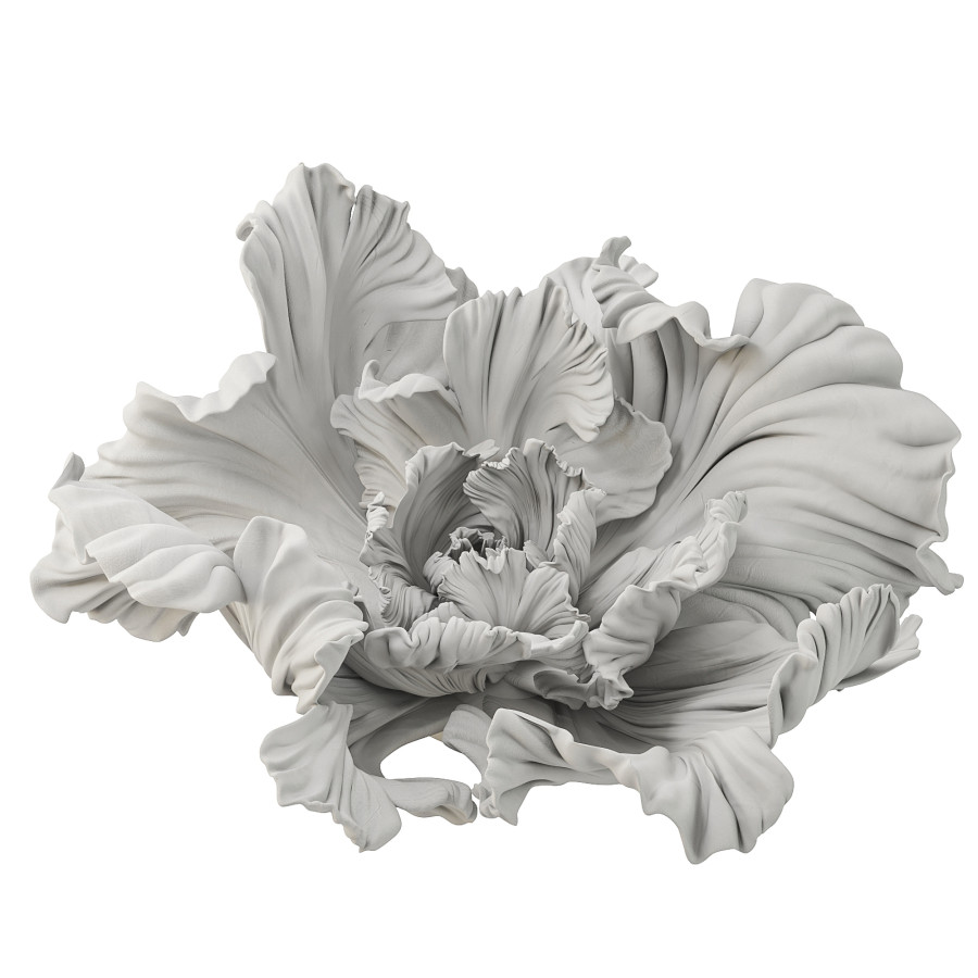 Gypsum Flower 3D Model for VRay, Corona | CGMood
