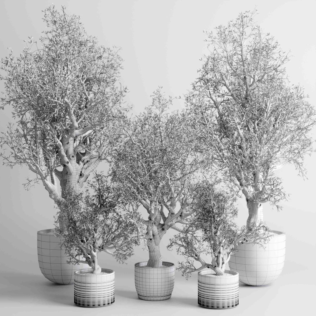Old Tree In Vase Dirty - Outdoor Plants 205 Corona - 3D Model for VRay ...