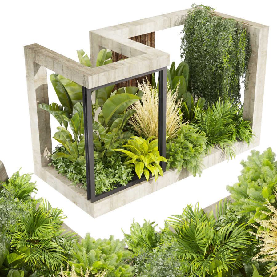 Collection Plant Vol 534 - Garden - Landscape - 3D Model for Corona, VRay