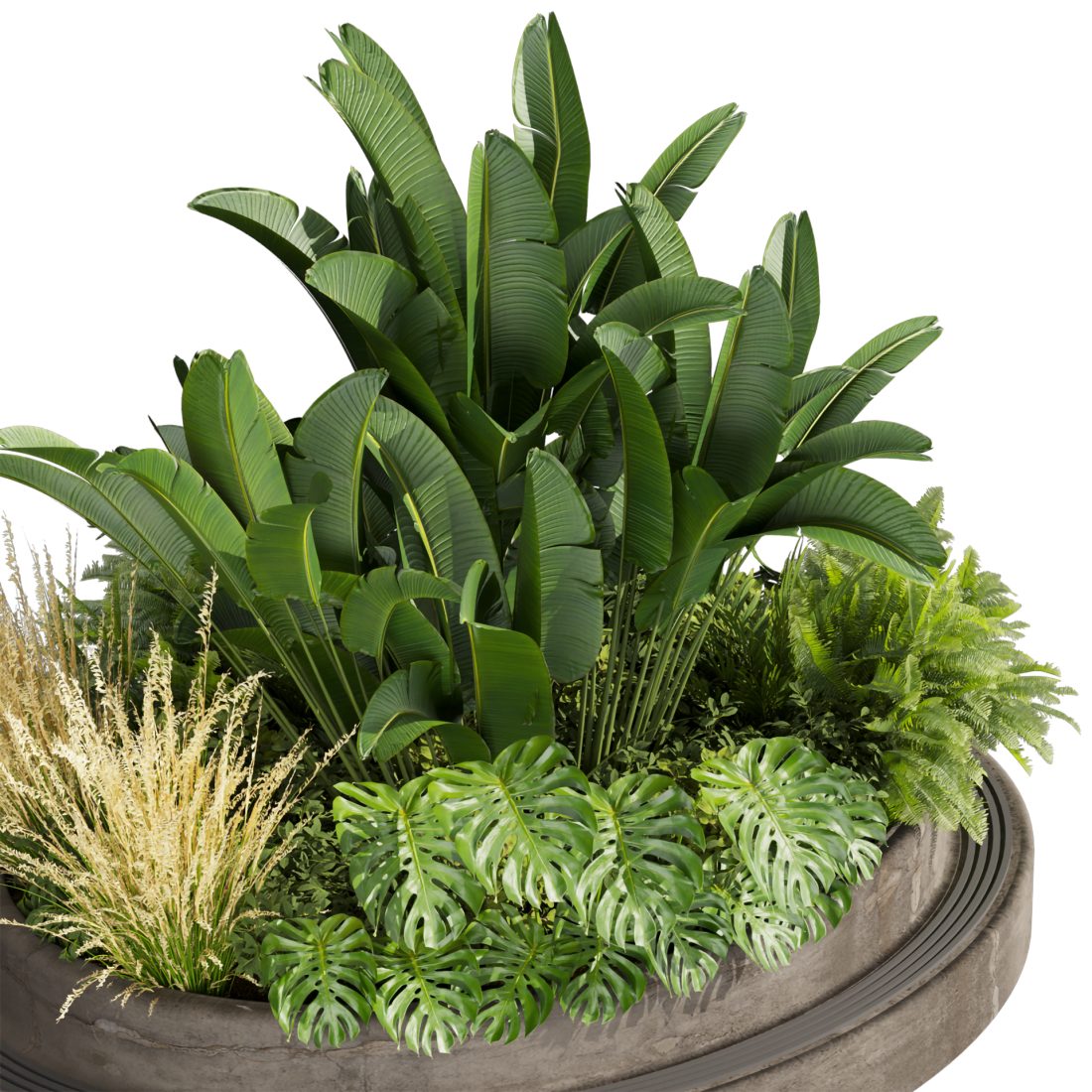 Collection Plant Vol 544 - Garden - Landscape - 3D Model for VRay ...