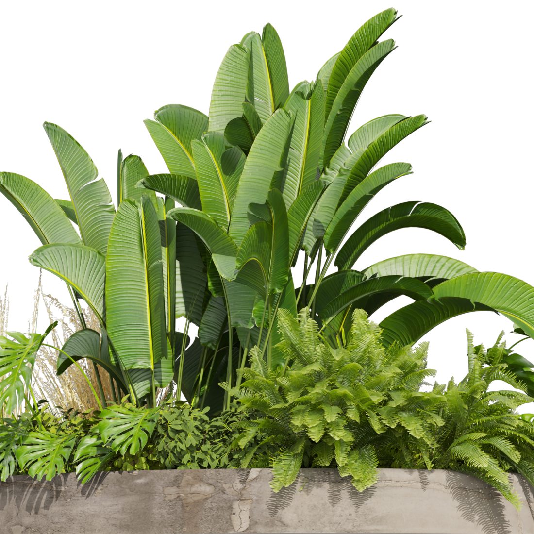 Collection Plant Vol 544 - Garden - Landscape - 3D Model for VRay ...