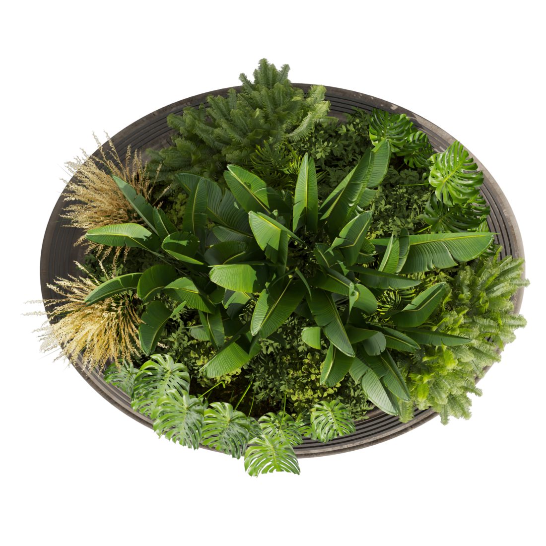 Collection Plant Vol 544 - Garden - Landscape - 3D Model for VRay ...