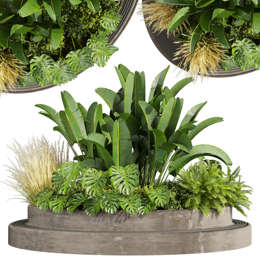 Collection Plant Vol 544 - Garden - Landscape - 3D Model for VRay ...