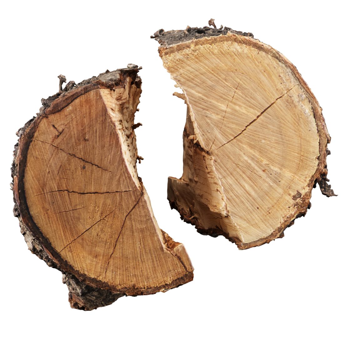 3d Scane Wood 01 – 4k Photorealistic - High Poly - 3D Model for VRay ...