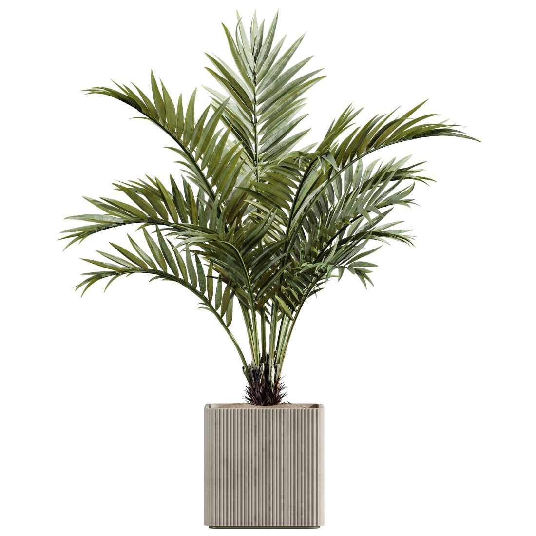 Av Indoor Plants Set 239 Olive Palm Lemon - 3D Model for VRay, Corona