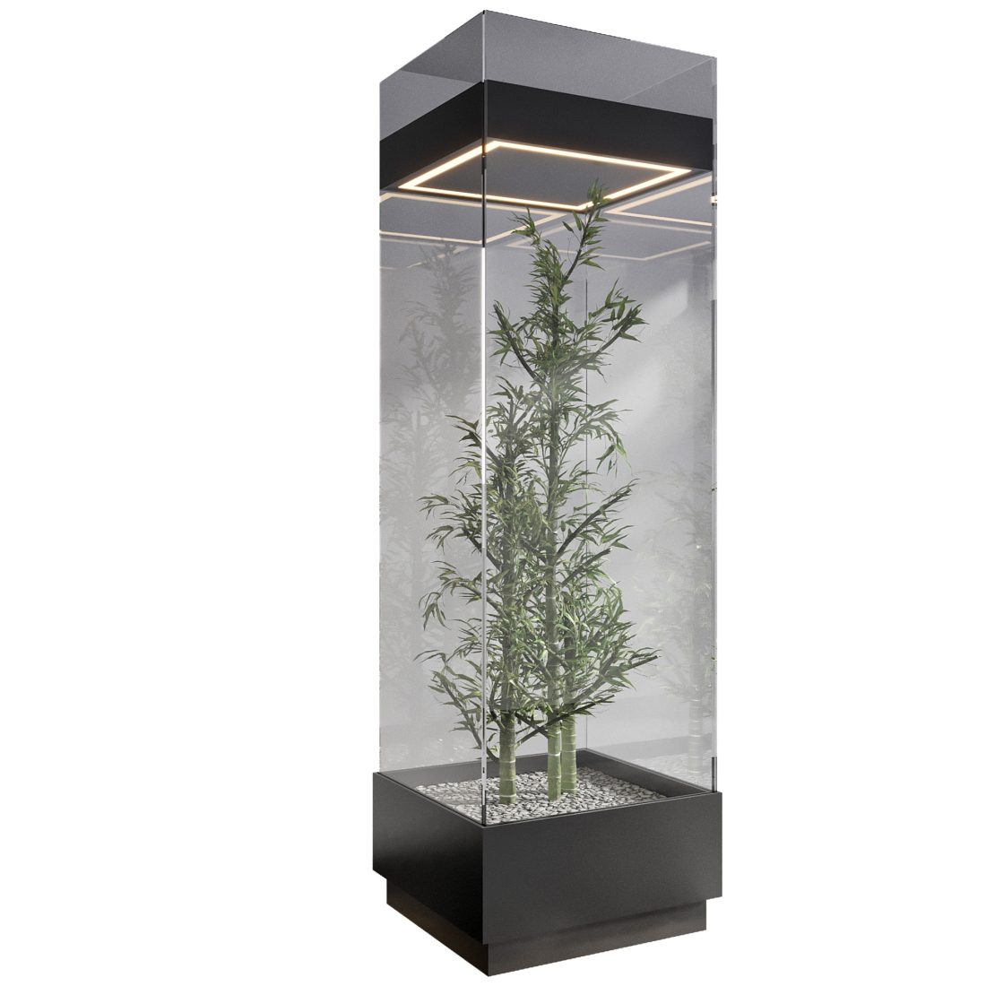 Hydroponic Showcase 3D Model for VRay, Corona | CGMood