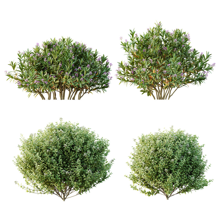 Av Different Colorful Spring Bushes - 3D Model for VRay, Corona