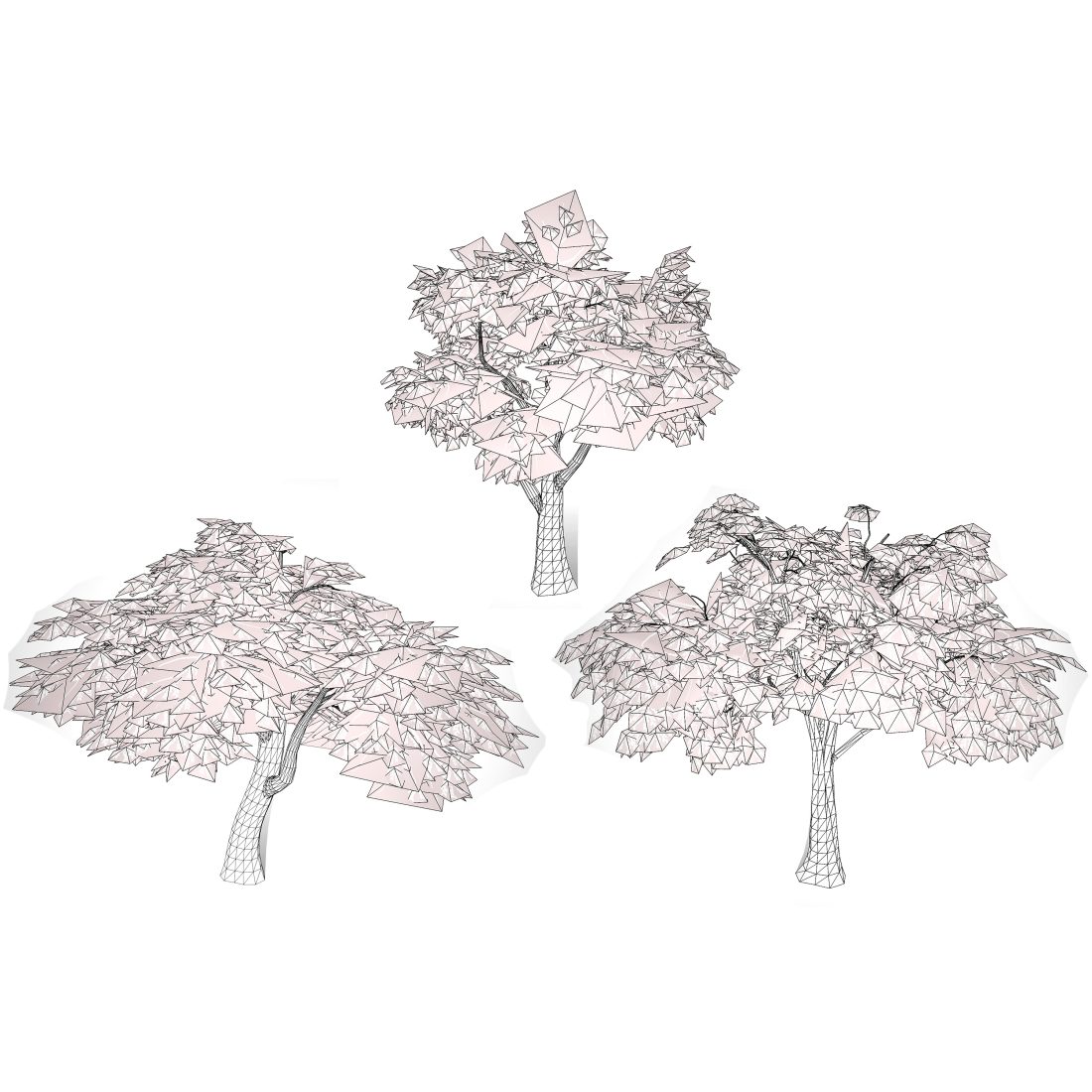 South African Mopane Tree 3d Model - 3D Model for VRay, Corona