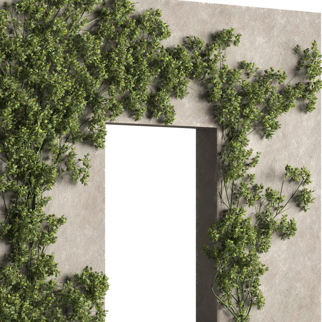 Ivy Plant On Wall - Outdoor Plants 712 3D Model for VRay, Corona | CGMood