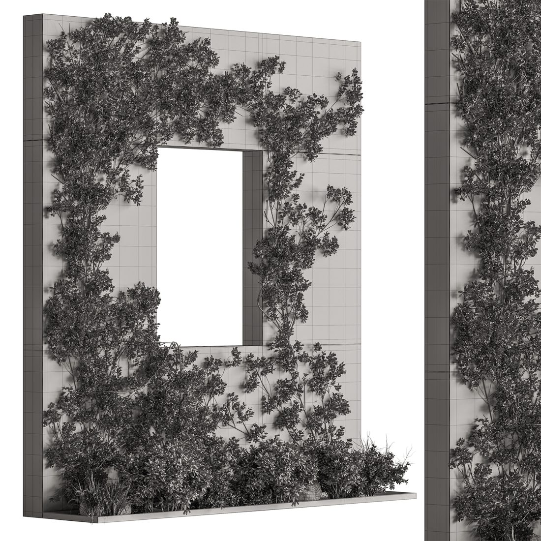 Ivy Plant On Wall - Outdoor Plants 712 3D Model for VRay, Corona | CGMood