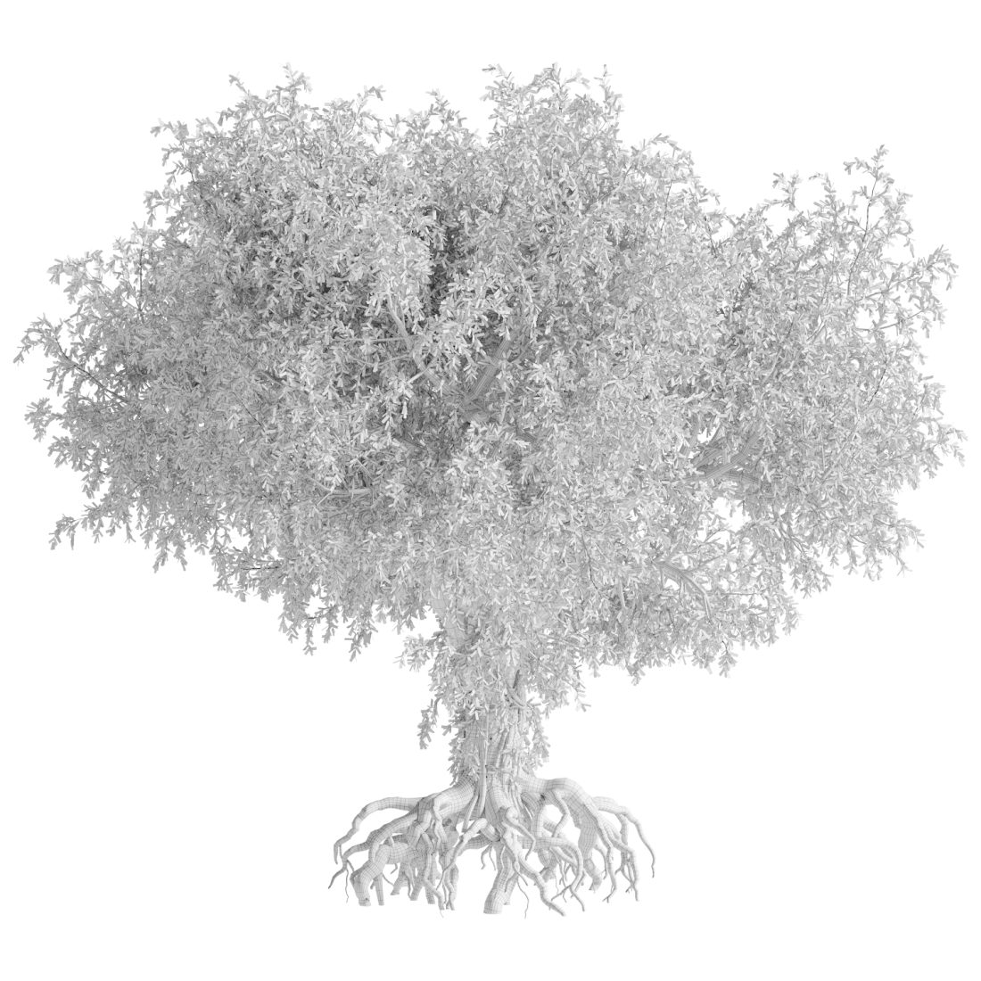 Large Olive Tree 03 3D Model for VRay, Corona | CGMood