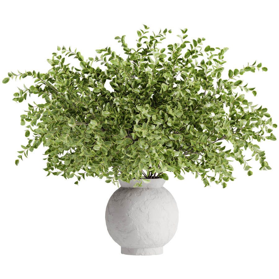 Bouquet Of Branches In A Clay Pot 186 3D Model for VRay, Corona | CGMood