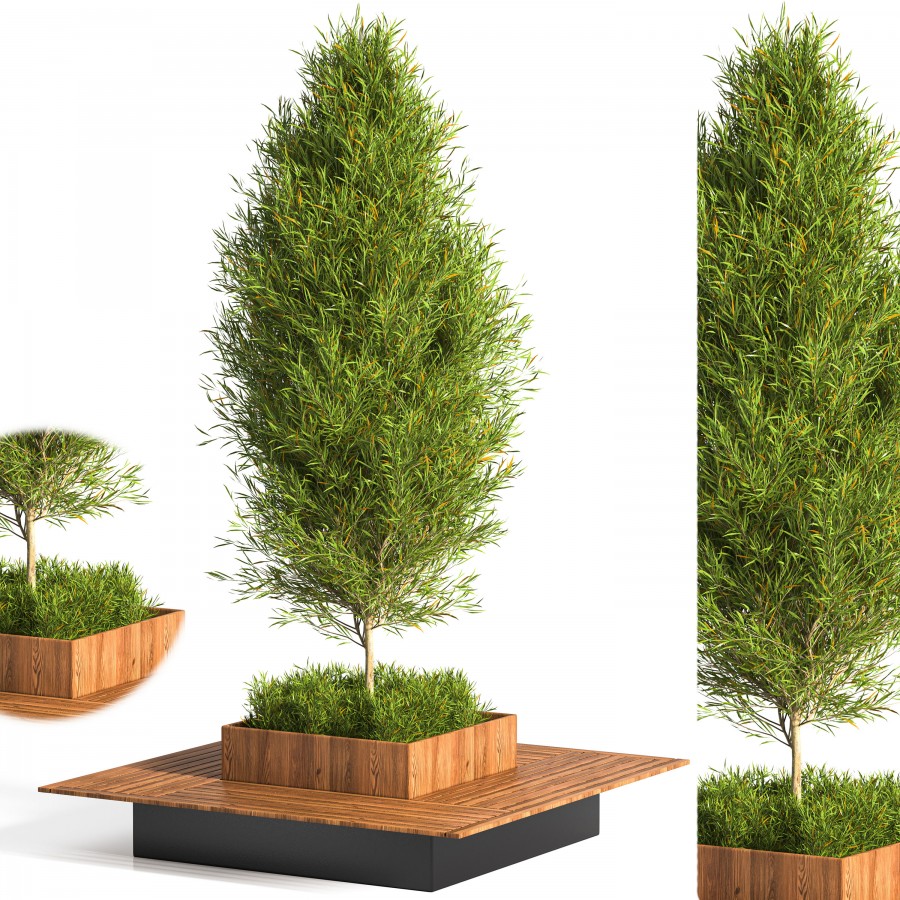 Park Bench Table With Tree 01 - 3D Model for VRay, Corona