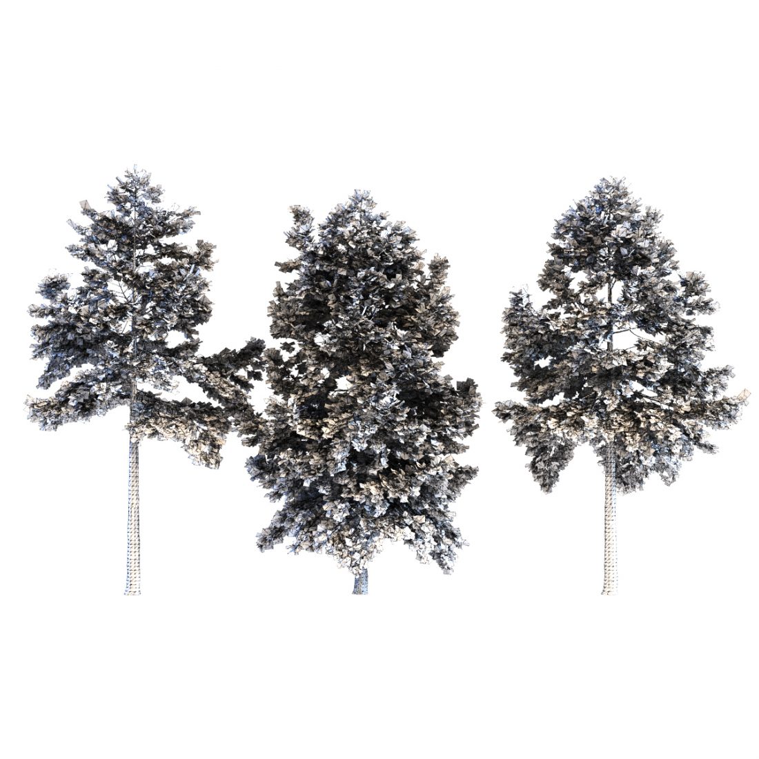 3 Oak Tree Pbr - 3D Model for VRay, Corona