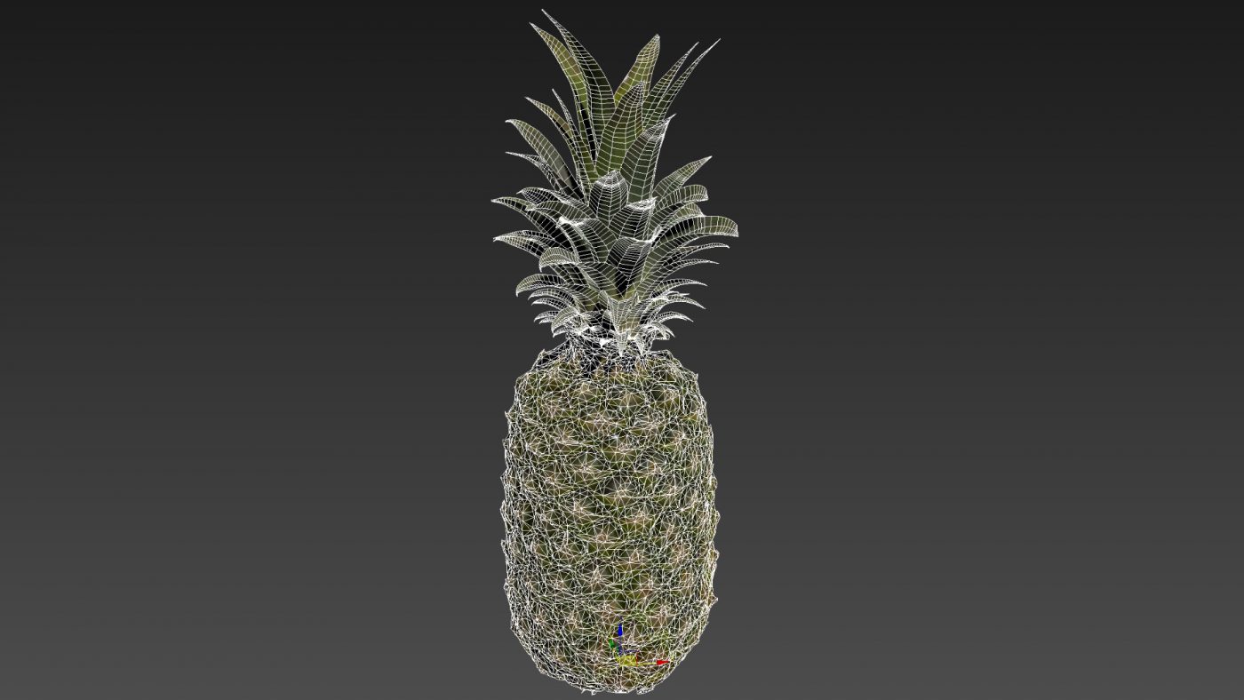 4k Pineapple - 3D Model for VRay, Corona