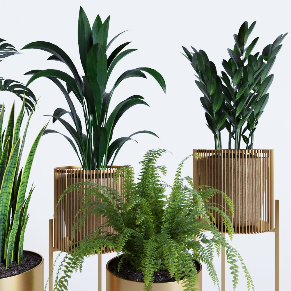 Plant Collection Rpm 01 3D Model for VRay, Corona | CGMood