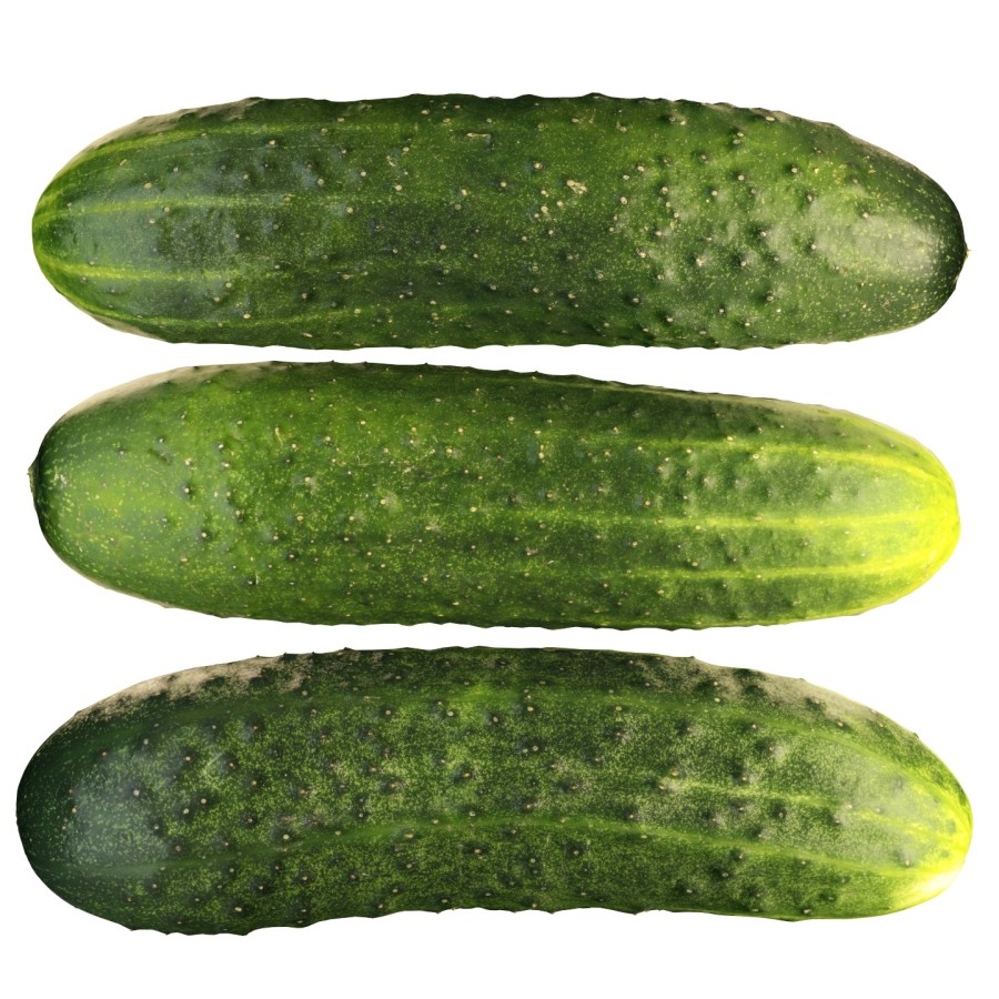 4k Cucumbers Short-fruited Prickly - 3D Model for VRay, Corona