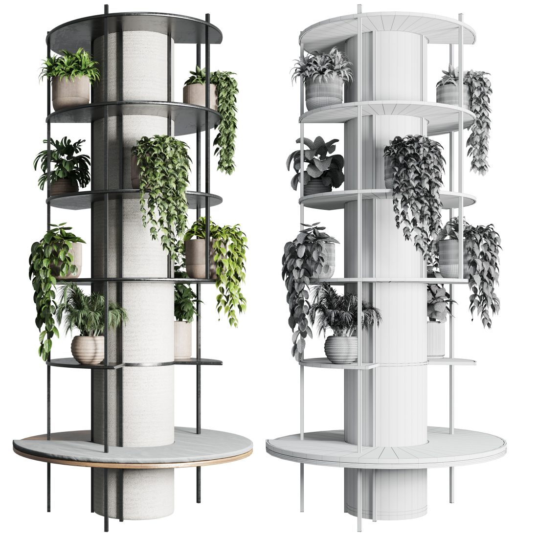 Column Plant 03 - 3D Model for VRay, Corona