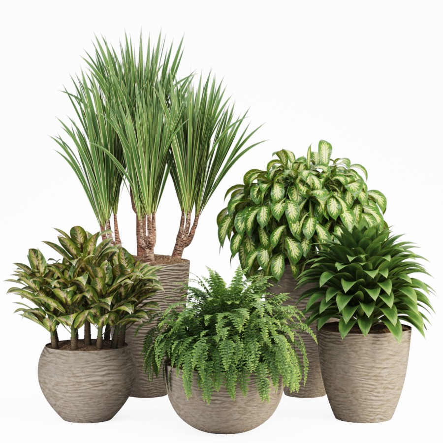 Plant Collection 019 3D Model for VRay, Corona | CGMood