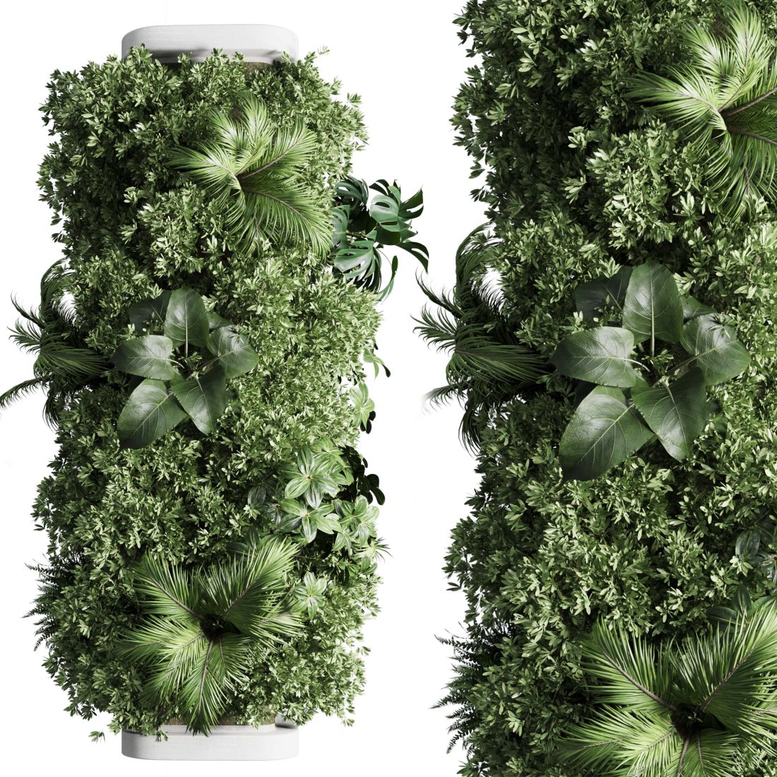 Column Plant Pillar Plant 04 - 3D Model for VRay, Corona