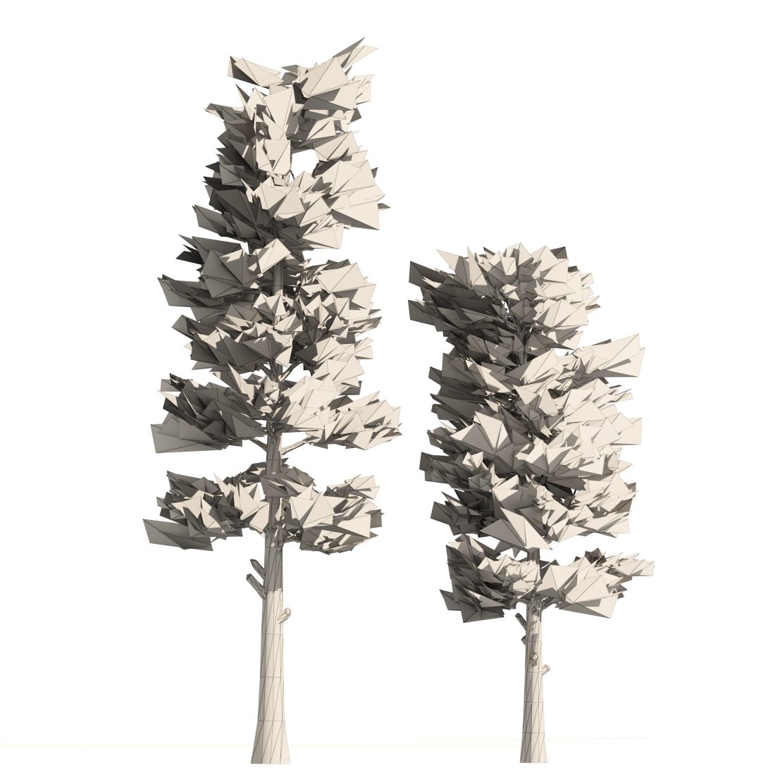 Pine Forest Trees 3D Model for VRay, Corona | CGMood