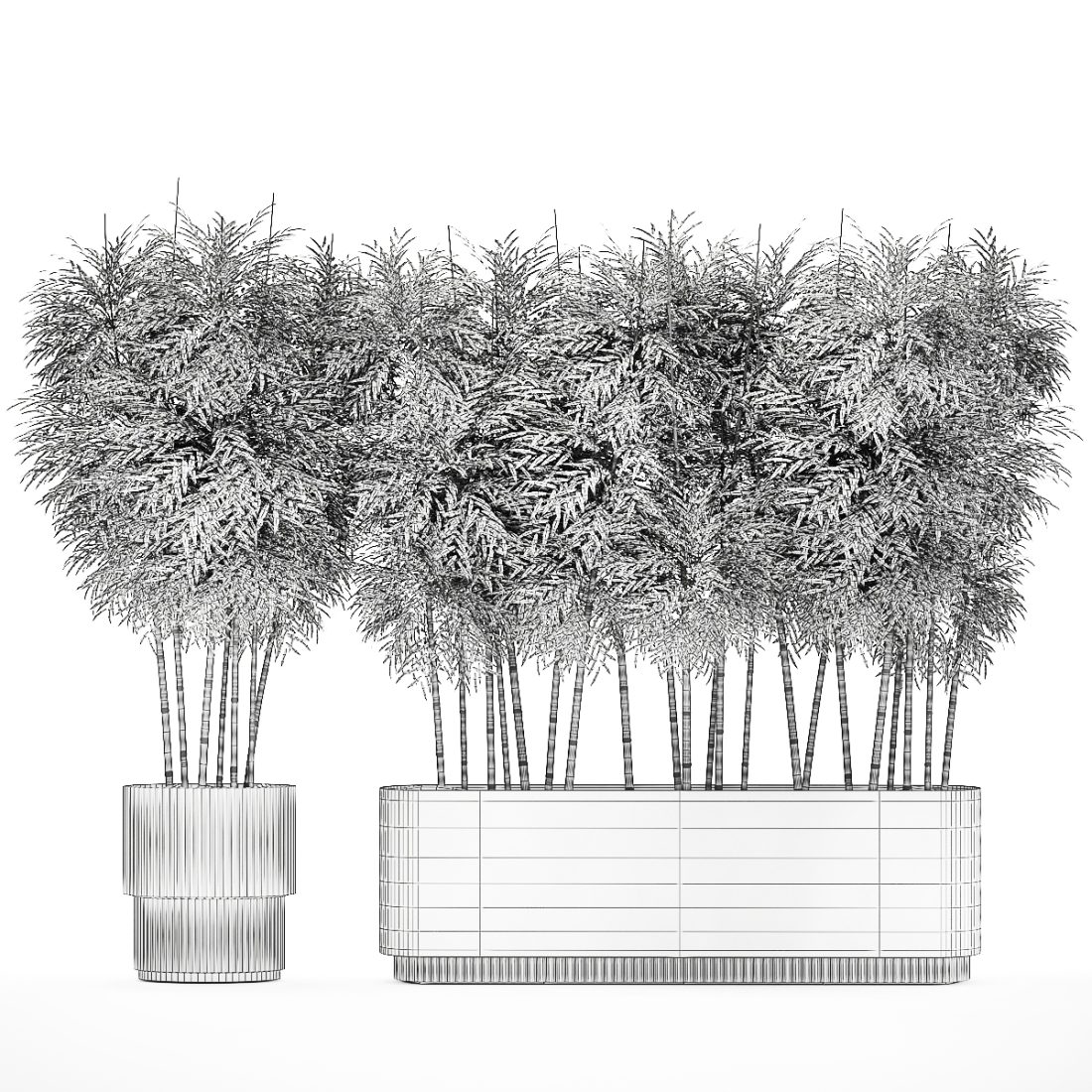 Beautiful Plant Bush Bamboo In Pots 1354 3D Model for VRay | CGMood