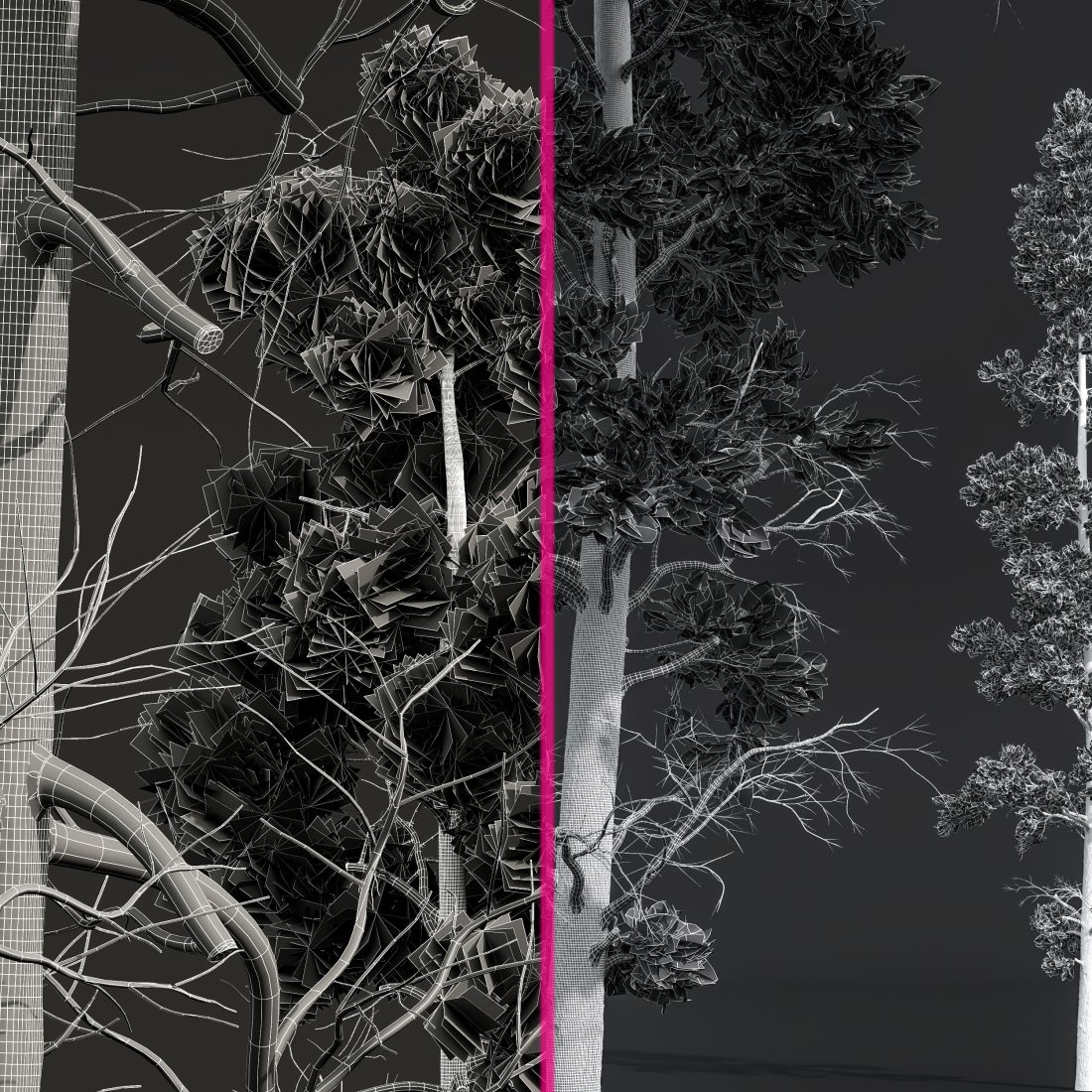 Pine Trees- 5 Different Trees - 3D Model for VRay, Corona