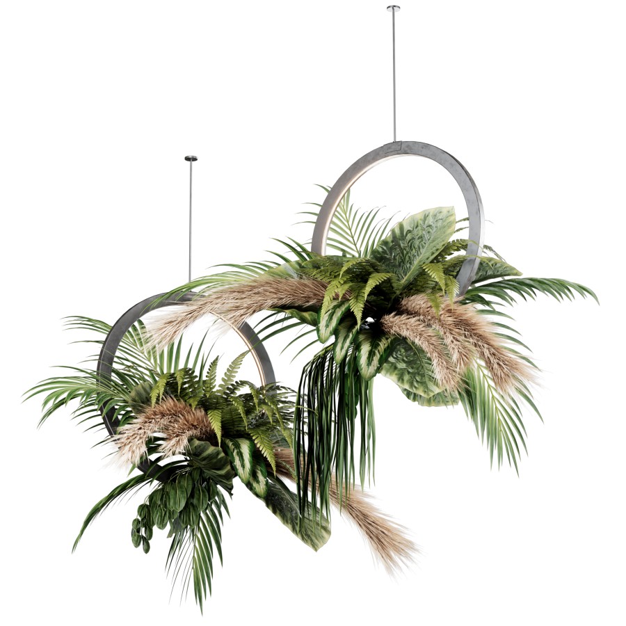 Indoor Plant Set42-hanging Plant 3D Model for VRay, Corona | CGMood