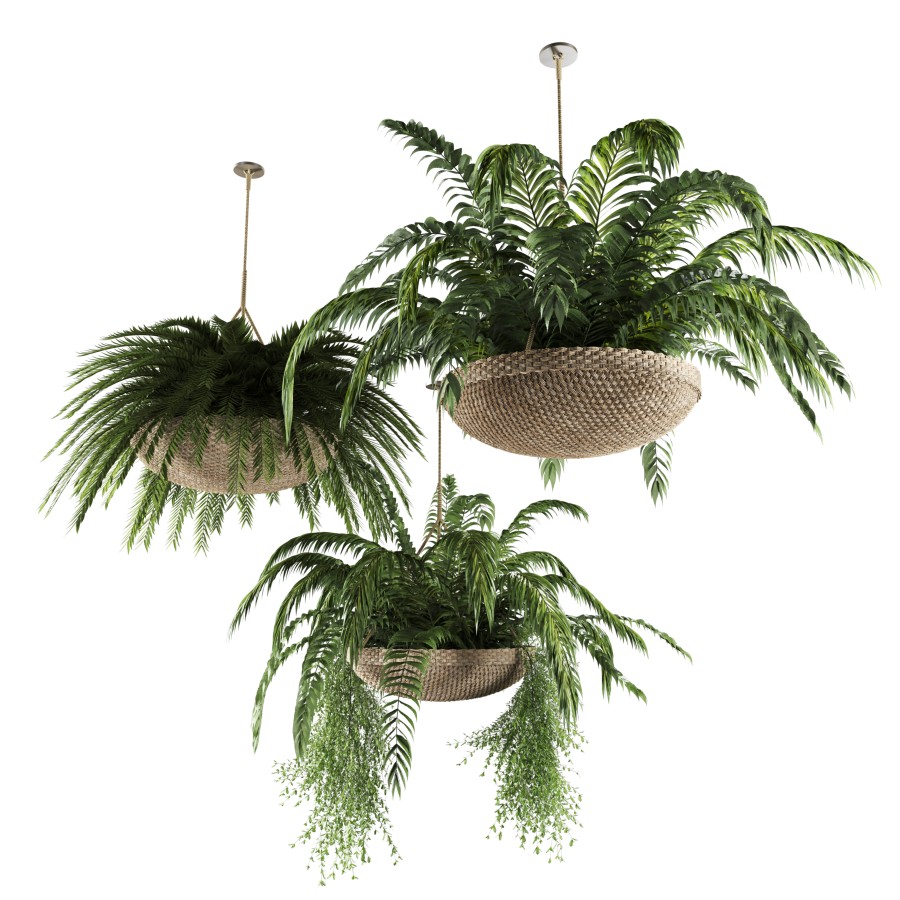 Indoor Plant Set46-hanging Plant - 3D Model for Corona