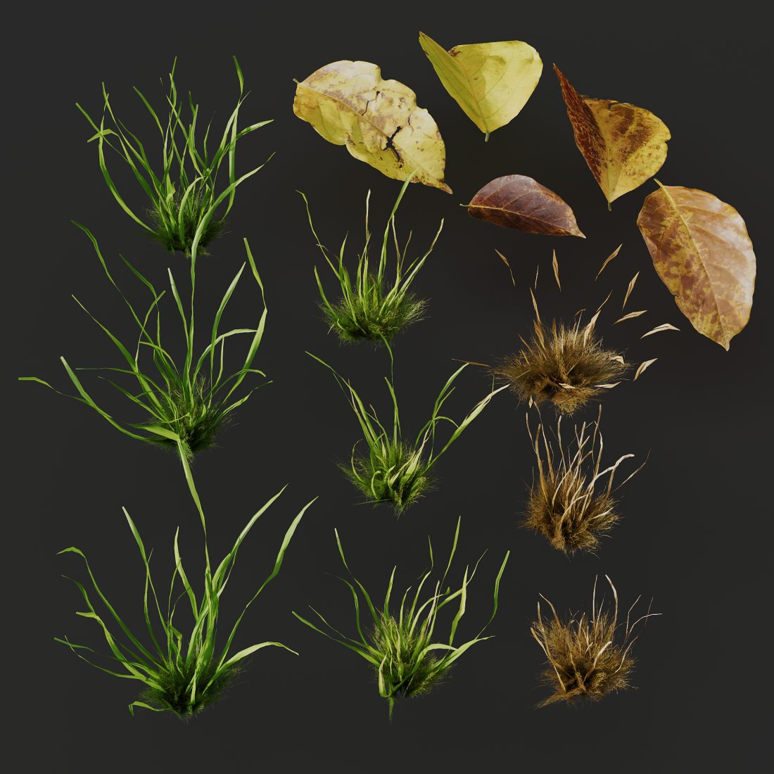 Grass Field Abstract Growing Summer 3D Model for VRay, Corona | CGMood