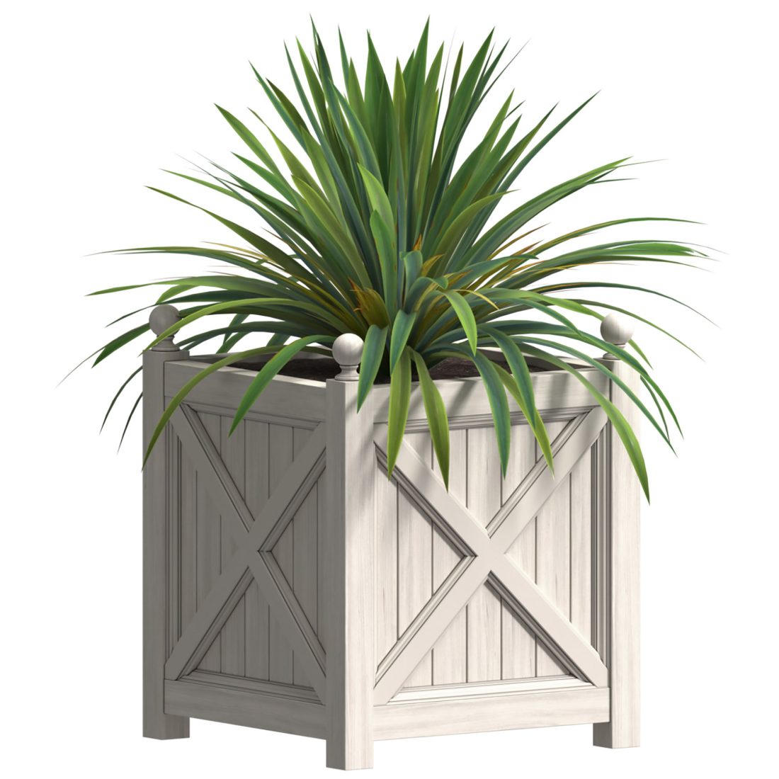 Plant In Wood Plant Box Timber Wood Planter - 3D Model for VRay, Corona