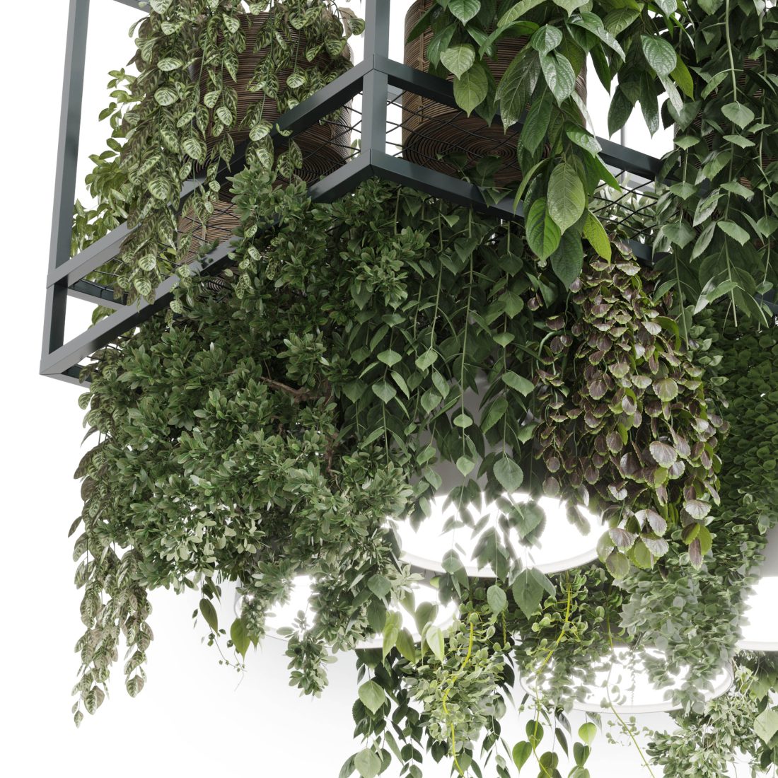 Rectangle Pot Light Pendant - Plant Light Hanging 3D Model for VRay ...