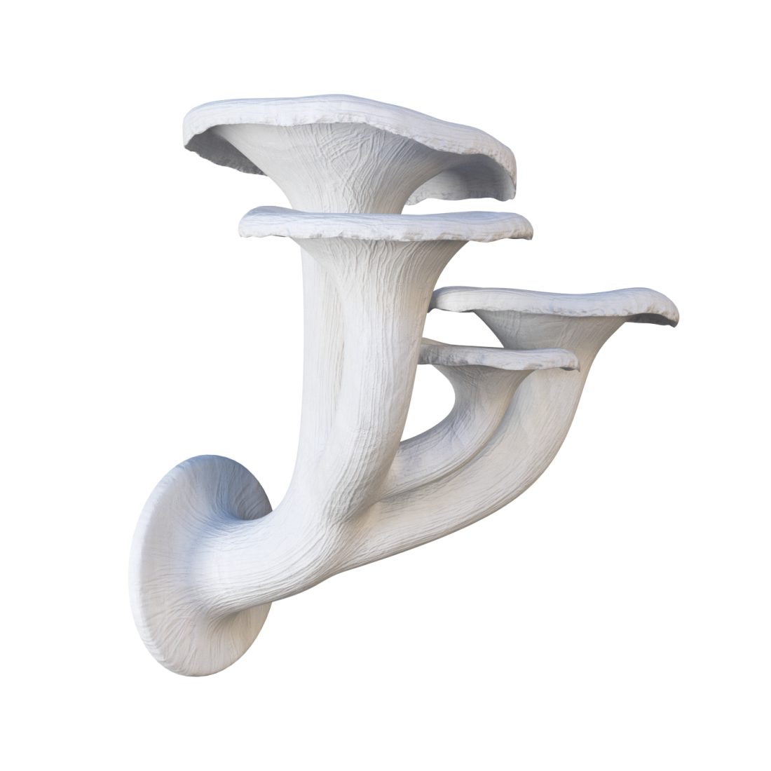 Mushroom Wall Light Extra Small - 3D Model for VRay, Corona