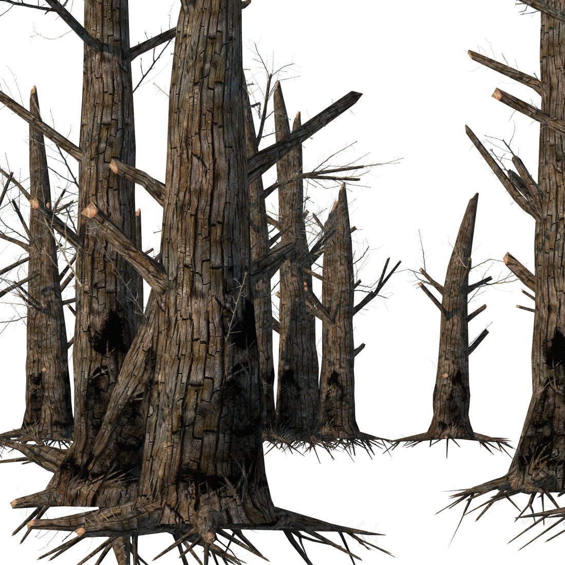 Burned Trees - 3D Model for VRay, Corona